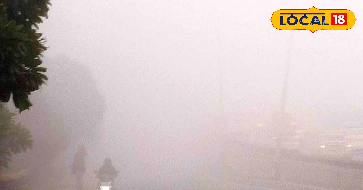 Weather Update yellow alert of Dense fog and cold in 11 districts ...