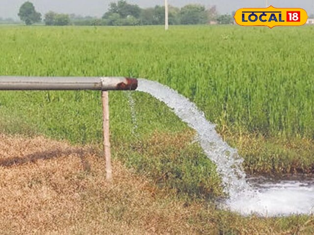 Agri Tips: रबी फसलों की बुवाई पूरी, अब सिंचाई का समय, जानें कब और किस विधि से फसलों को दें पानी ...