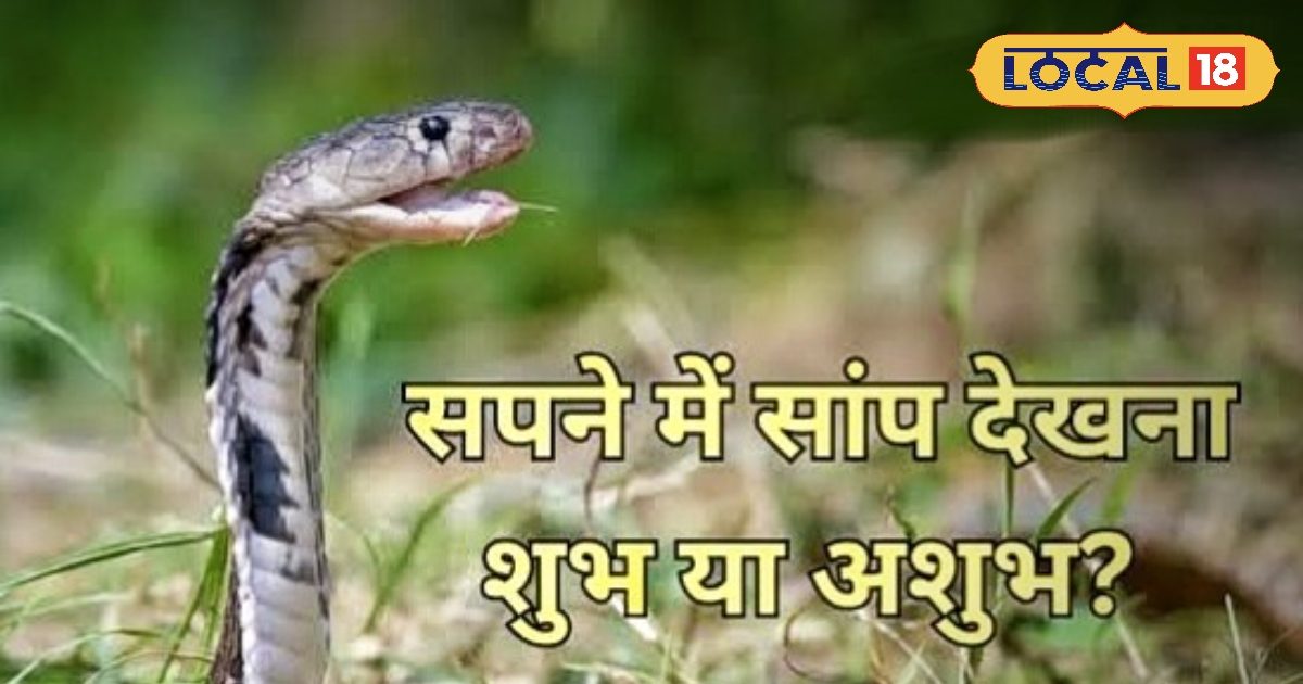 Snake Dream Meaning Seeing snake in dream is good or bad know what is sign According to ...