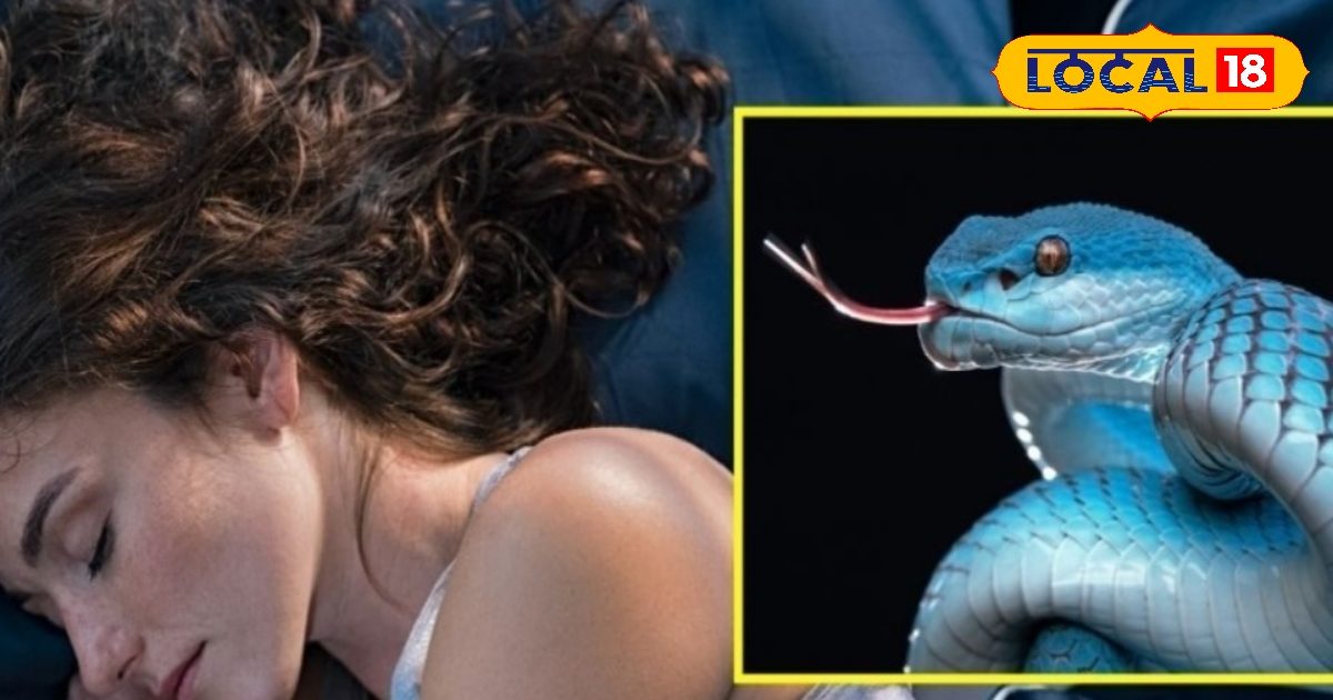 Dead Snake Dream Spiritual meaning good or bad money remedies sapne ...