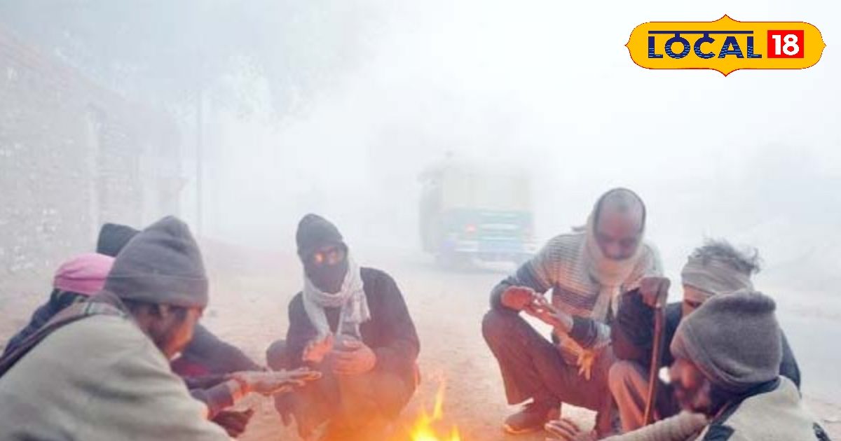 Jaipur Weather Update : राजस्थान में सर्दी का सितम जारी, IMD ने जताई ...