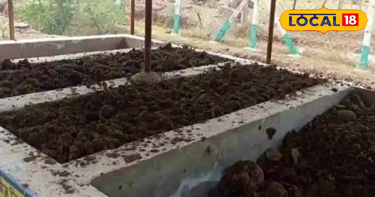 Govardhan organic fertilizer scheme launched Get freedom from chemical ...