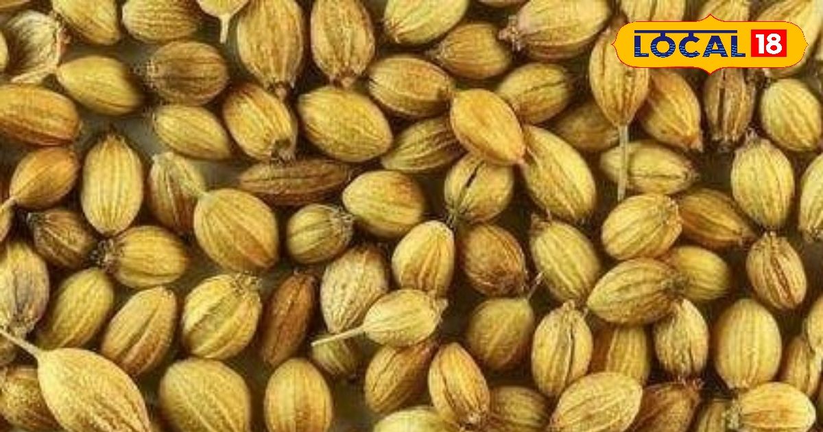 Health benefit of Coriander treasure trove of medicinal properties ...