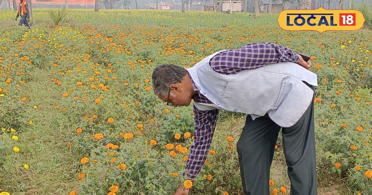 Jehanabad Farmer Success Story Marigold cultivation farmer umesh ...