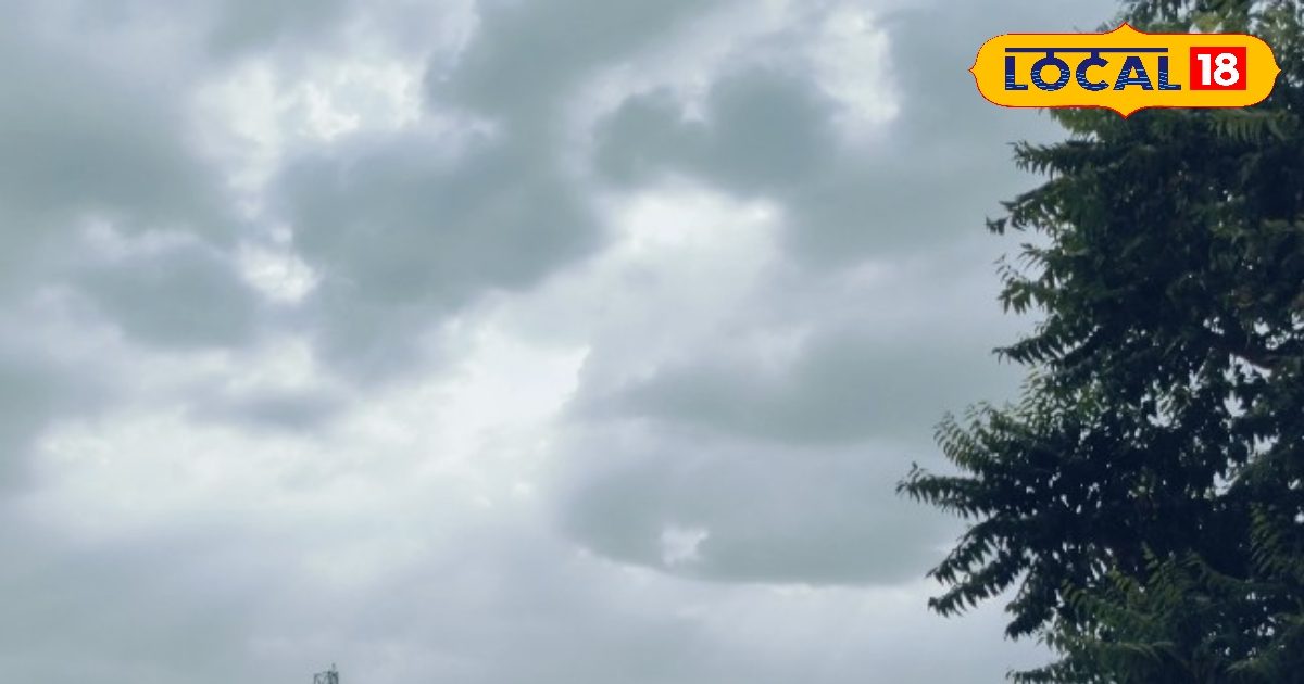 Sikar Weather: First scattered rain of the season in Shekhawati, IMD issued alert of hailstorm ...