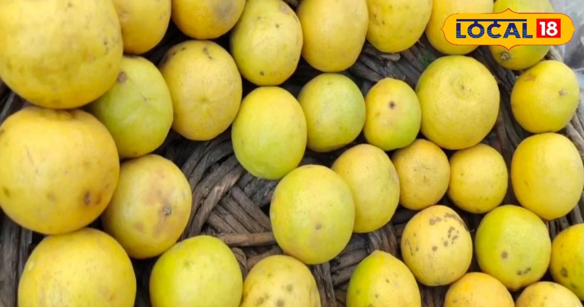 Nimbu Pani: सर्दियों में इम्यूनिटी के लिए पिएं नींबू-पानी, रोज करें ...