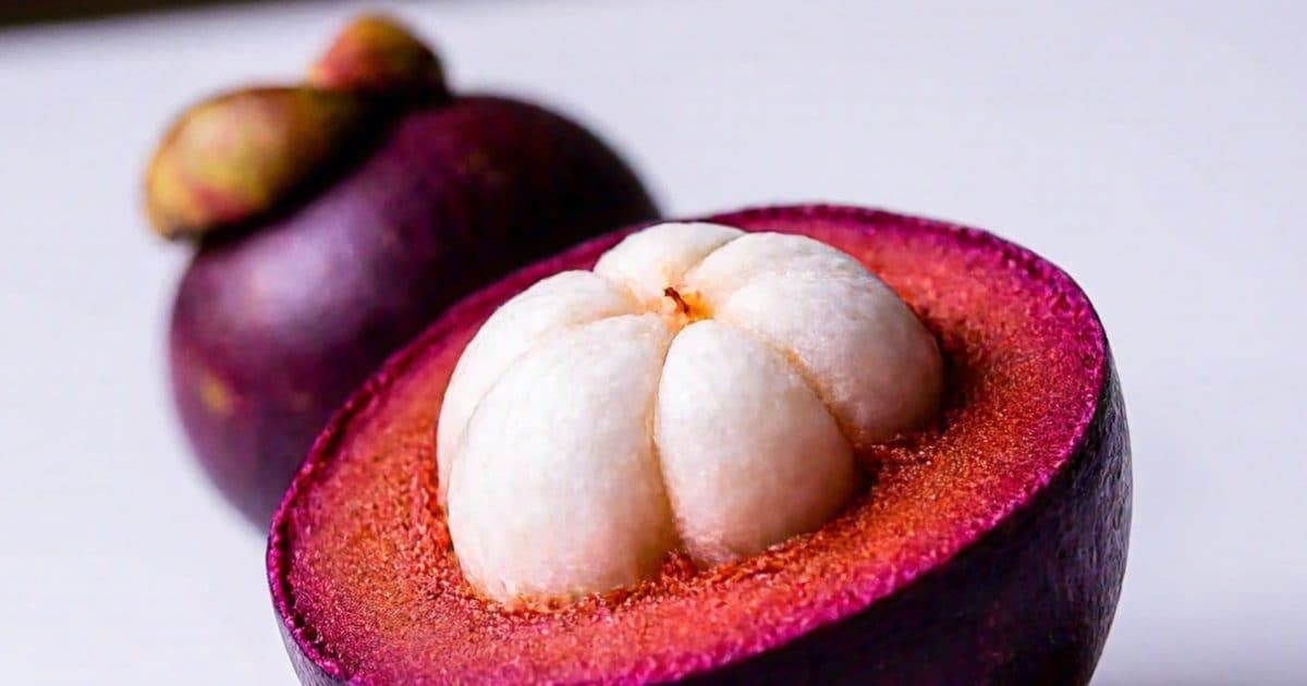 health benefits of mangosteen fruit queen for immunity pregnant women - News18 हिंदी