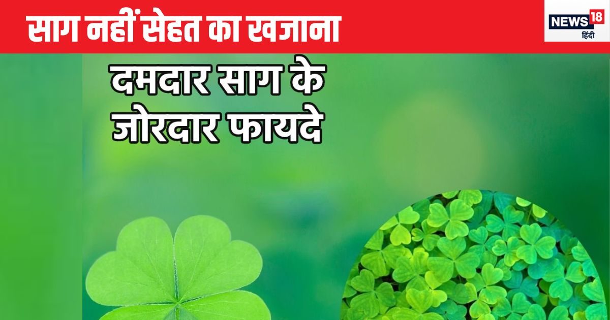 कभी खाया है सुसनी का साग, कोमल पत्तियों में हड्डियों को फौलाद बनाने की ...