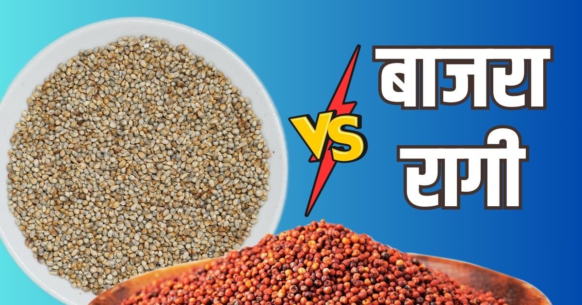 बाजरा और रागी के आटे में कैसे करें अंतर? जानें पैकेट खुलने के बाद ...
