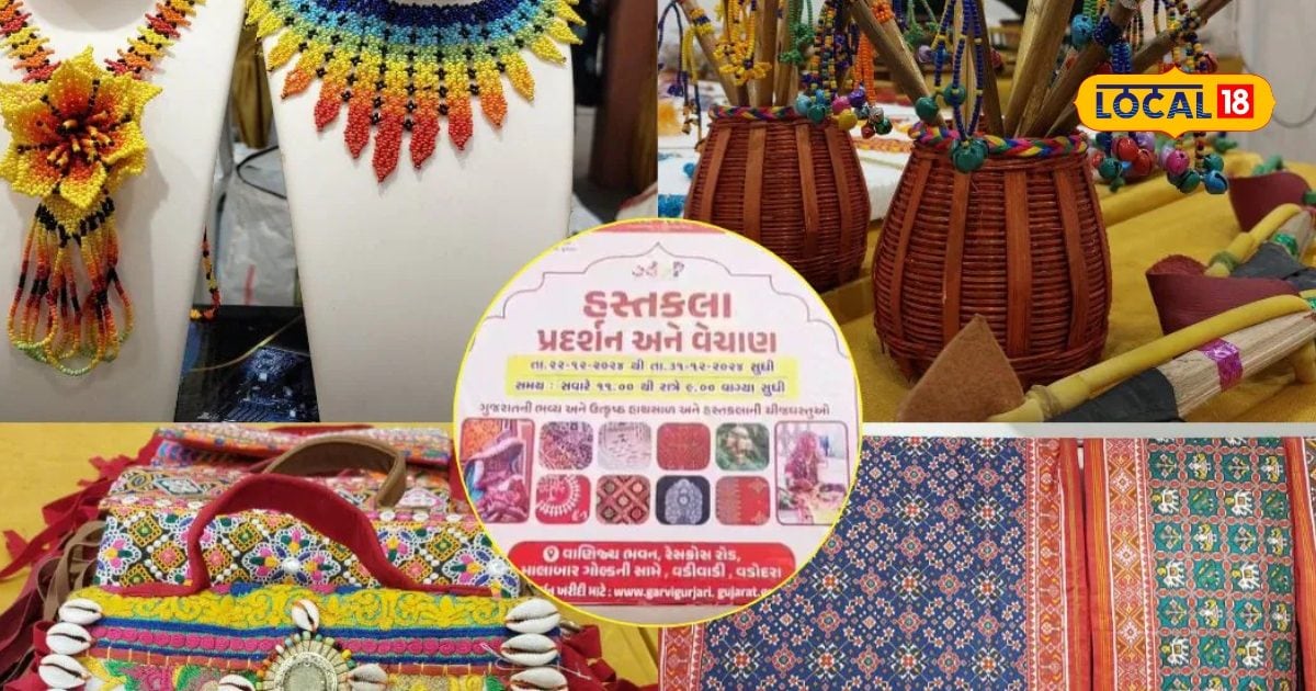 gujarat handicraft exhibition very expensive patola saree and bamboo ...