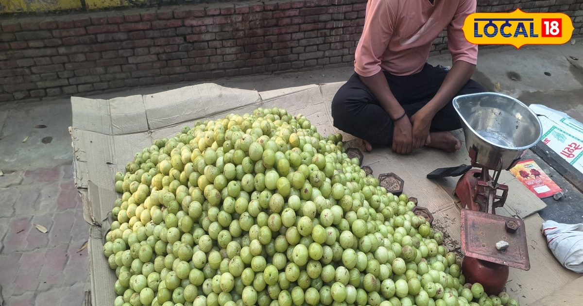 Benefits of Amla for health treatment weight loss and skin glowing how ...