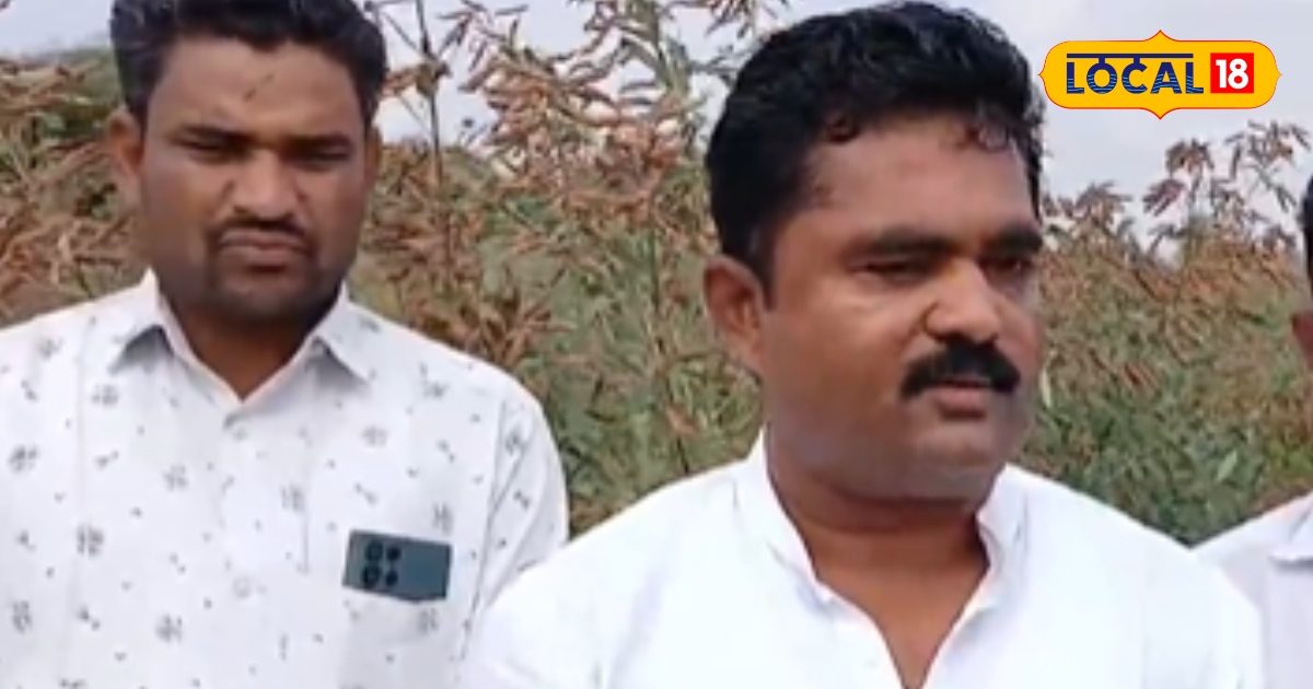 grow tur crops 1400 fruits per tree record production sa - News18 हिंदी