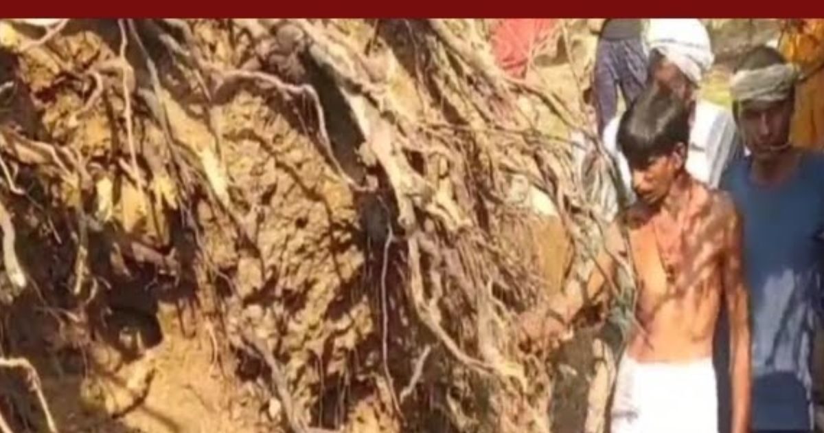 1100 years old Shivling found from ground during digging of trees in MP ...