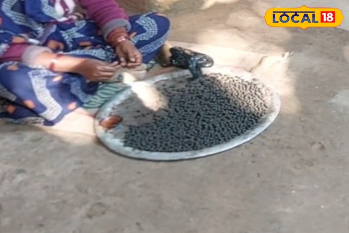 Jadi Buti: क्या आप जानते हैं कैसे बनती है जड़ी बूटी? यहां जाने सबकुछ ...