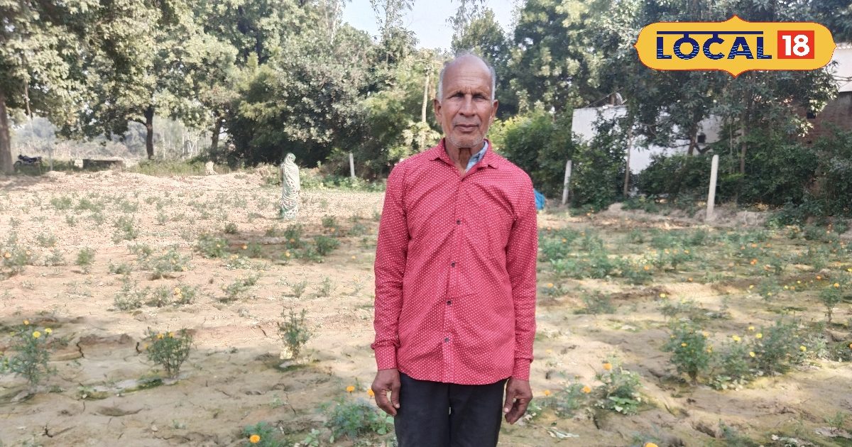 Agri Tips: नोट छापने की मशीन है ये फूल! पढ़ा-लिखा किसान कर रहा खेती, कम लागत-मेहनत में बंपर ...