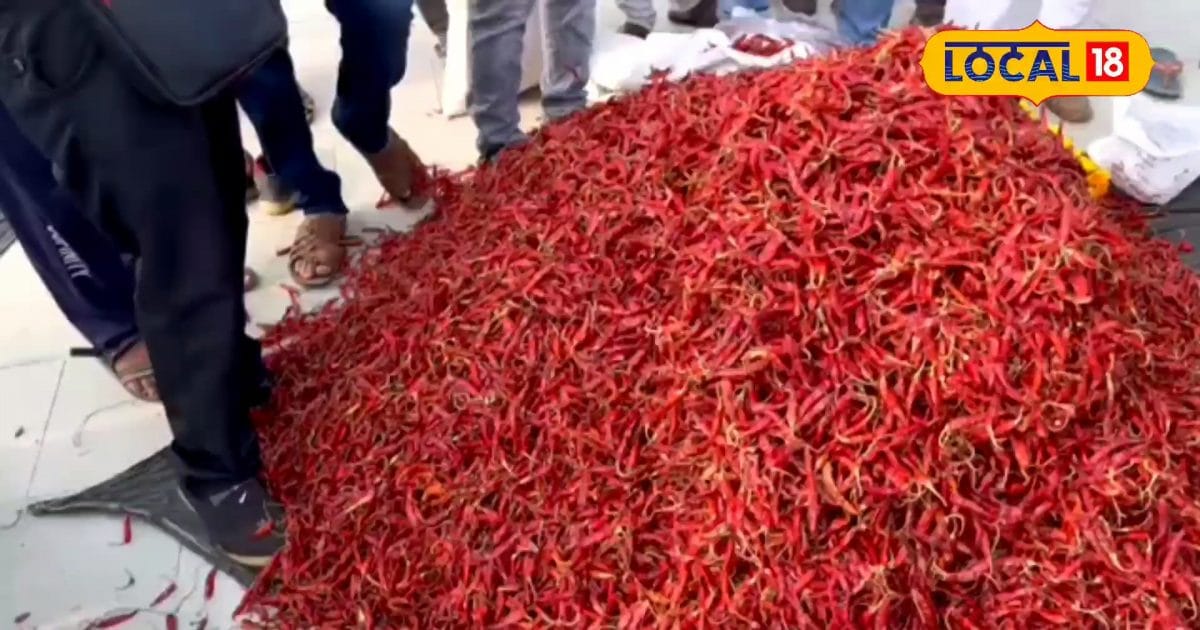 The biggest chilli market will be set up in Nagaur, the famous Soyla ...