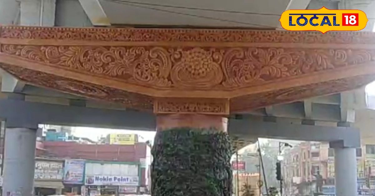 Municipal council big step in preparation of cleanliness survey 3D ...