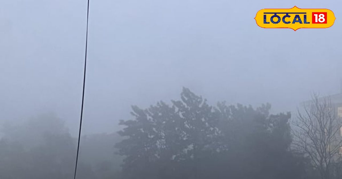 Jaipur Weather Update: Yellow alert for dense fog in Rajasthan today, rain and hailstorm ...
