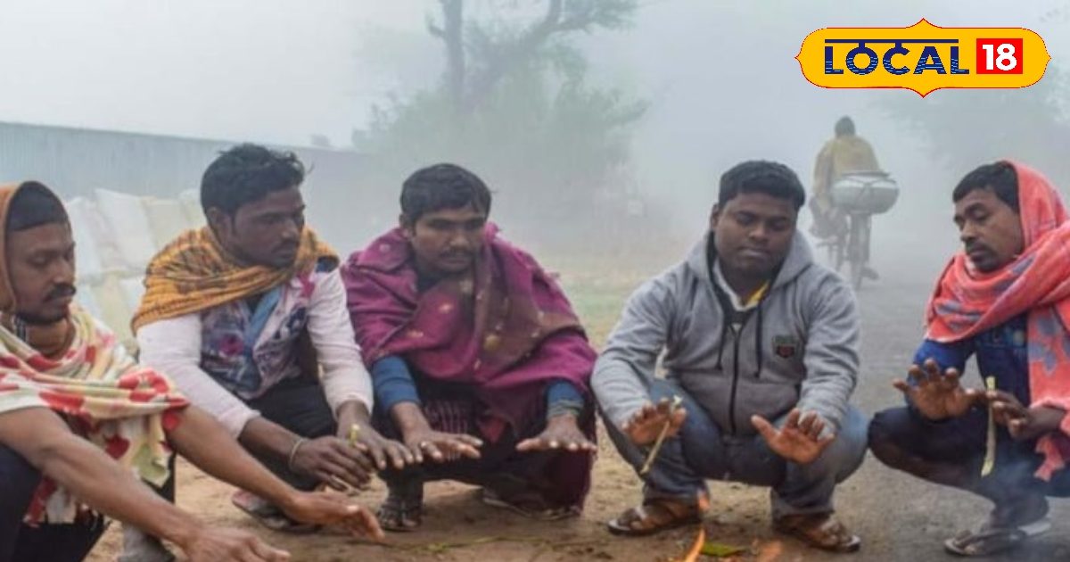Jharkhand weather update IMD Alert of heavy cold and fog in 7 districts ...
