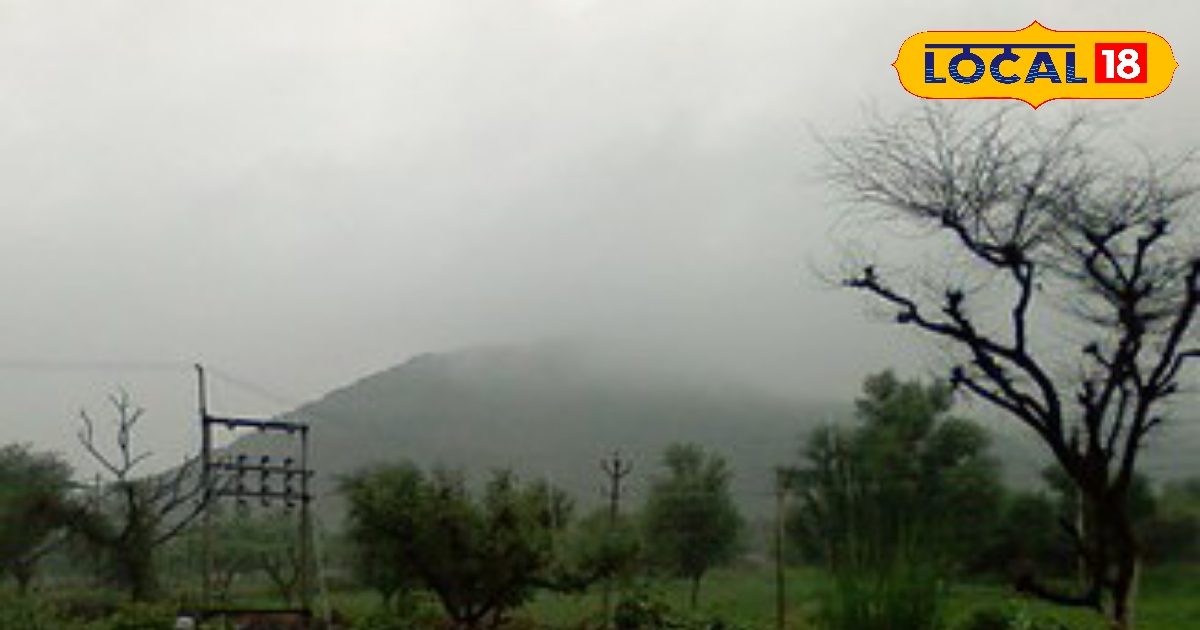 Jaipur Weather Update: Now the effect of cold will decrease, the ...