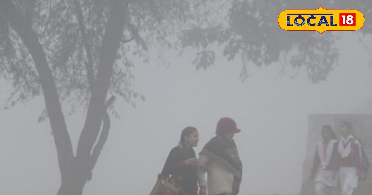 Jaipur Weather Update: Now the effect of cold will decrease, the ...