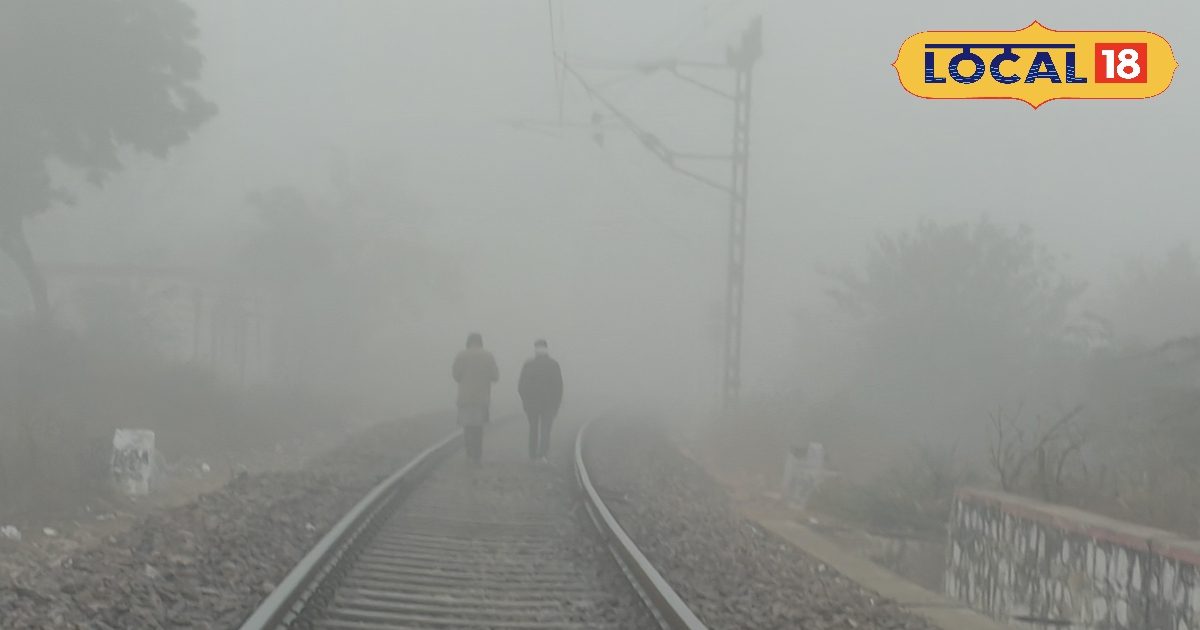 Sikar Today's Weather: The effect of winter is increasing again in ...