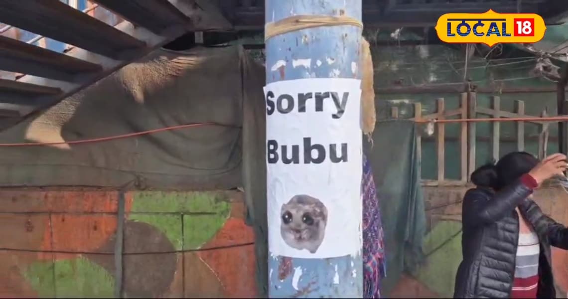 Noida News: 'SORRY BUBU' ...अब ये क्या बवाल है? नोएडा से मेरठ तक लगे ...