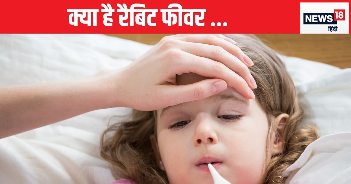 अब ये रैबिट फीवर क्या है? क्यों हो गई है डरने वाली बात, रेयर बीमारी से ...