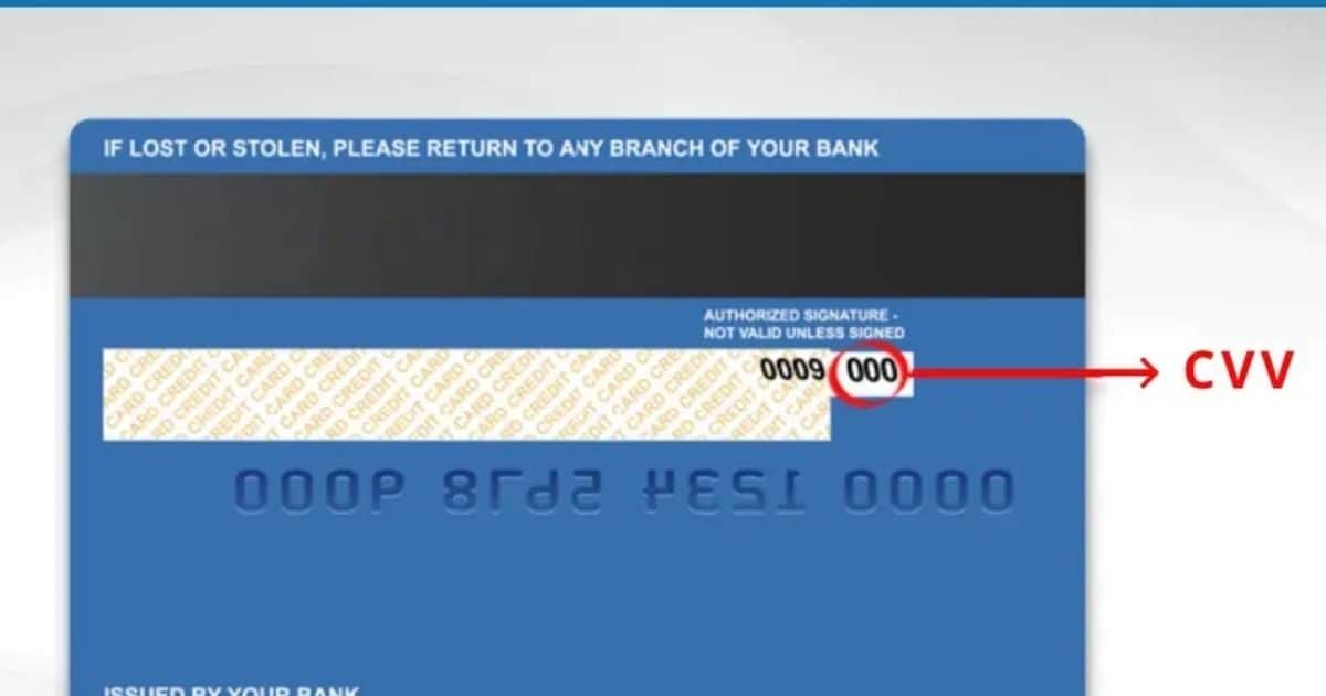 क्या होता है क्रेडिट कार्ड का CVV नंबर? यह आपको कैसे सेफ रखता है - News18 हिंदी