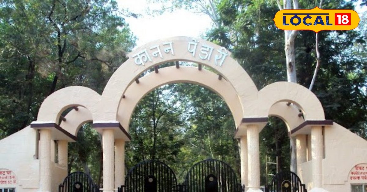 Kanan Pendari Zoo: Bilaspur's most amazing zoo, where you will meet ...