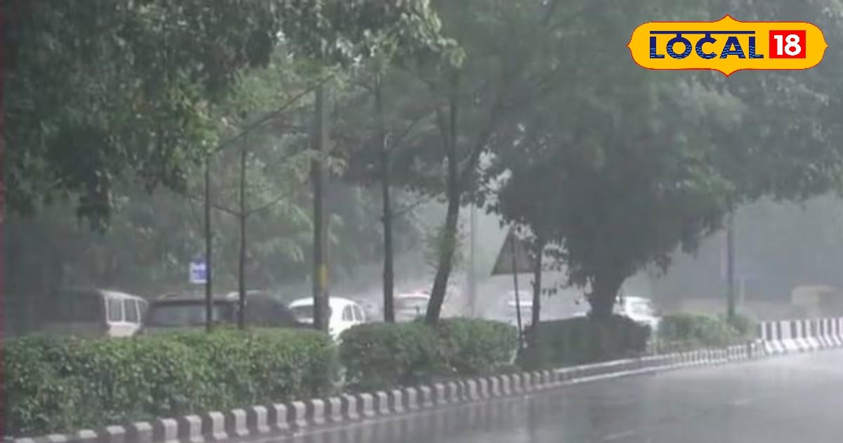 Jaipur Weather Update: No chance of rain today, cold wave alert, cold ...