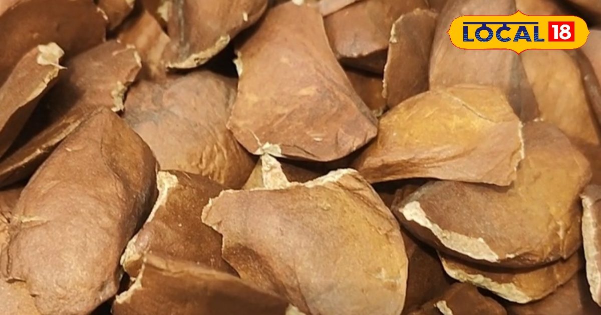 Sugar Badam Benefits: खाने में कड़वा लेकिन गजब के फायदे, शुगर बादाम ...