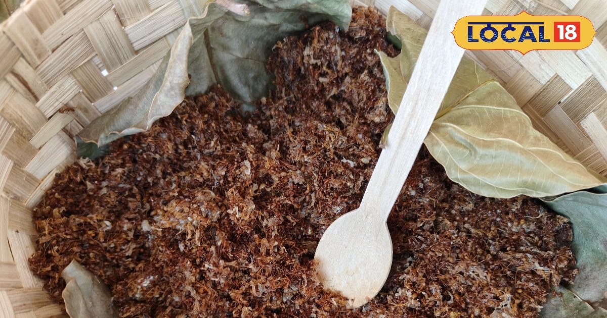 Lal Chiti Ki Chatni: न धनिया-न पुदिना...लाल चींटी से बनती है ये चटनी ...