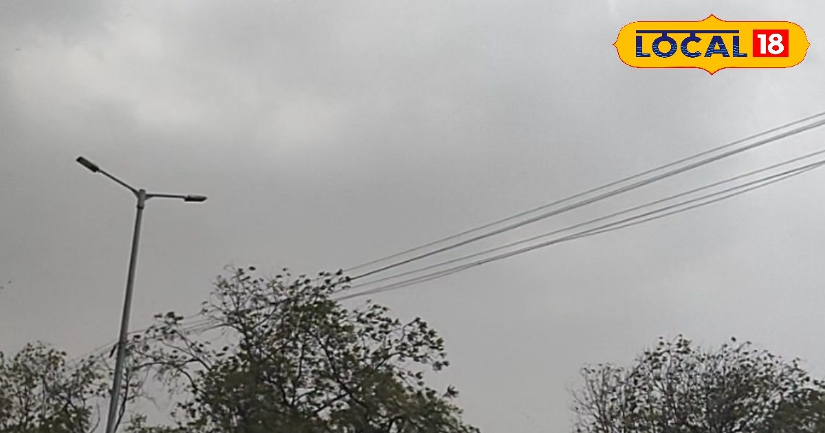 Sikar Weather: फरवरी के महीने में सावन जैसा मौसम! सीकर का तापमान ऐसे ...