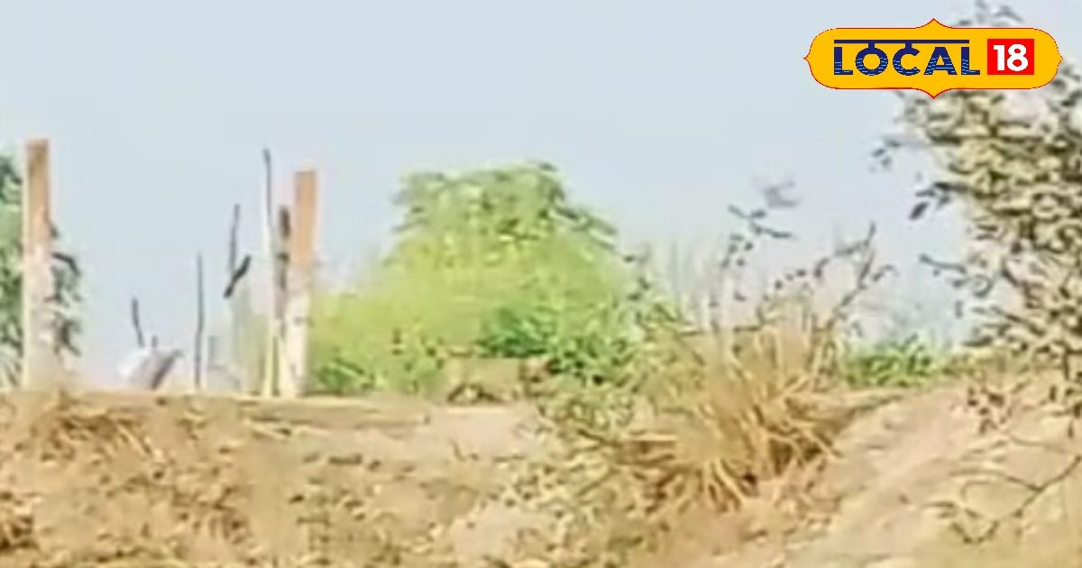 Barabanki Viral Video: कौन रोकेगा दहशत का प्रलय? तालाब के पास दिखे ऐसे ...