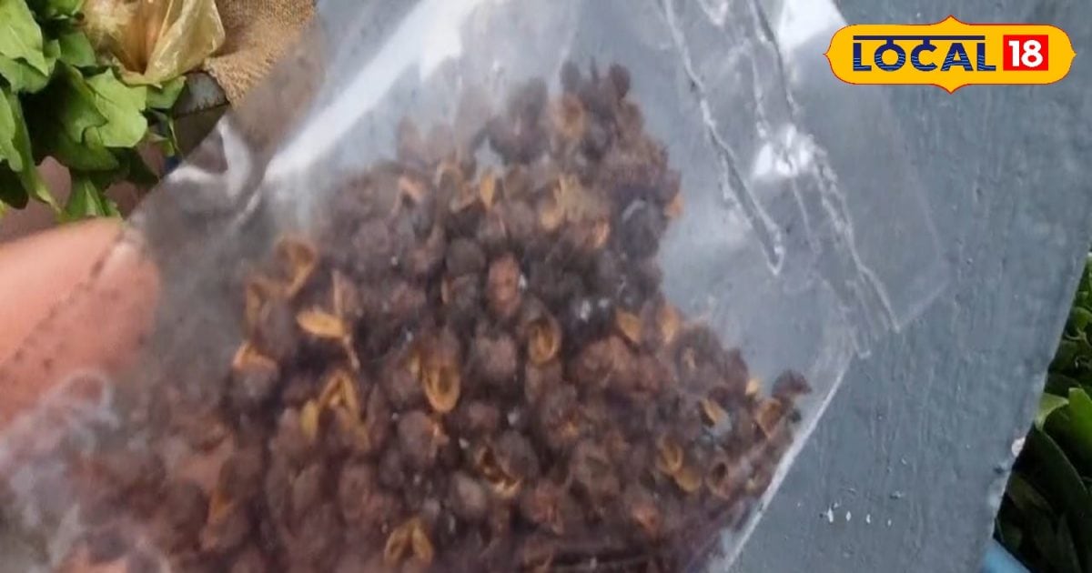 Benefits of Timur seeds: पाचन तंत्र को मजबूत करने में मददगार है ये बीज ...