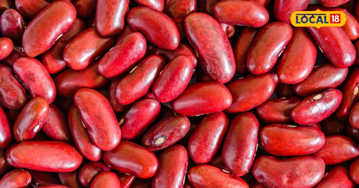 Rajma Farming Tips: कम लागत, तगड़ा मुनाफा! जानें UP के इस किसान की ...