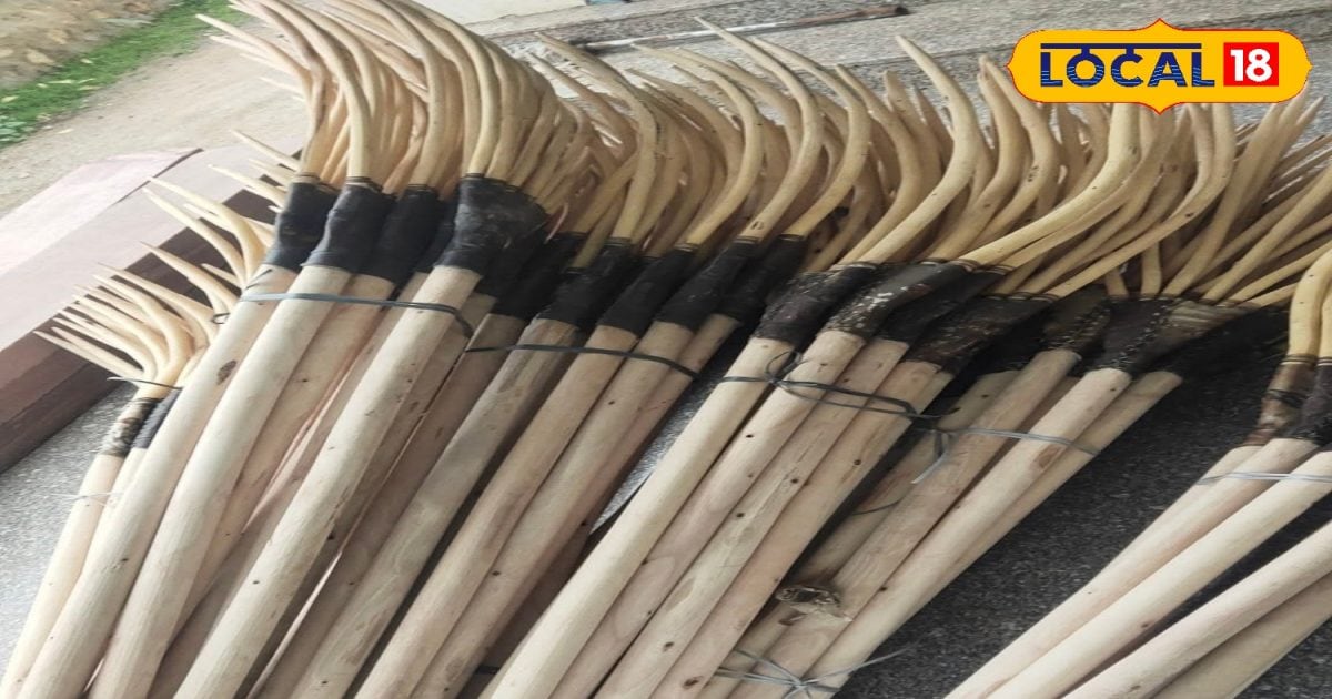 Unique agricultural tool: किसानों का अनोखा औजार, खेती में करता है पूरी ...