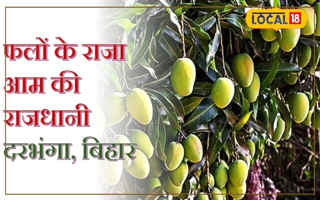 This district of Bihar is famous for mangoes all over the country ...