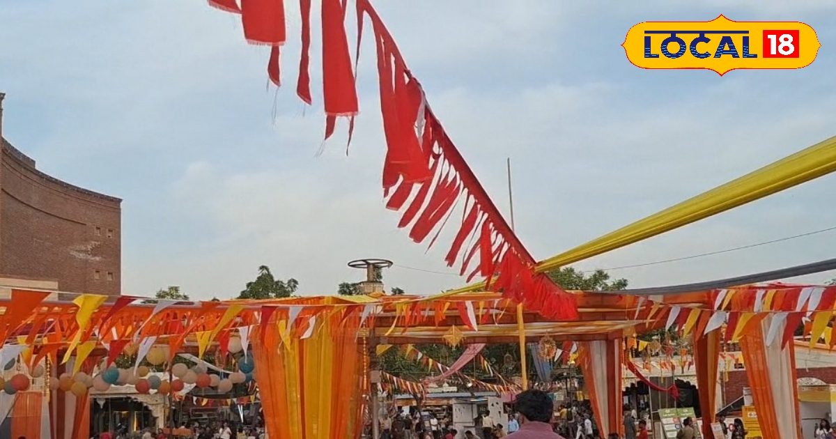 Bihar Mahotsav 2025: दिल्ली हाट में बिहार उत्सव 2025: कला, संगीत और ...