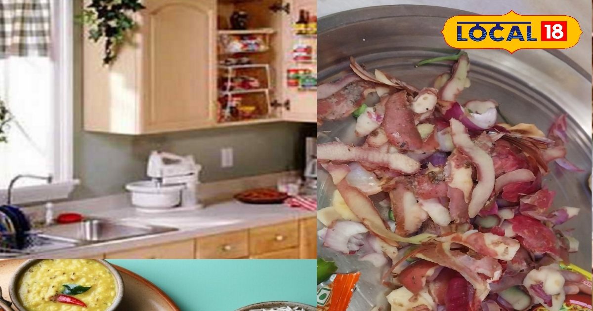 not throw leftover food from kitchen Make effective fertilizer - News18 ...