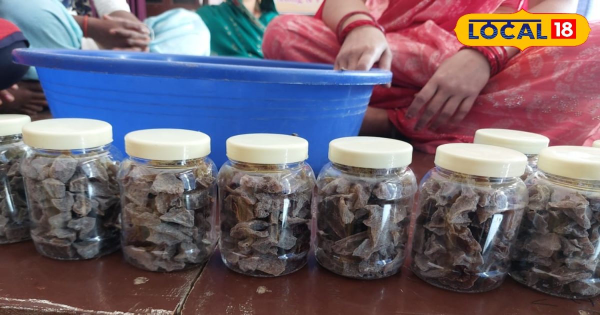 Papaya Candy: ये महिला घर पर पपीते से बना रही कैंडी, 12 महिलाओं को दिया ...