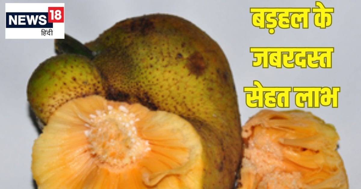 सिर्फ 5-10 रुपये दाम लेकिन सेहत के लिए खजाने से कम नहीं ये फल, जानें 10 ...