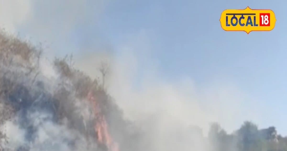 pali forest fire incident know details