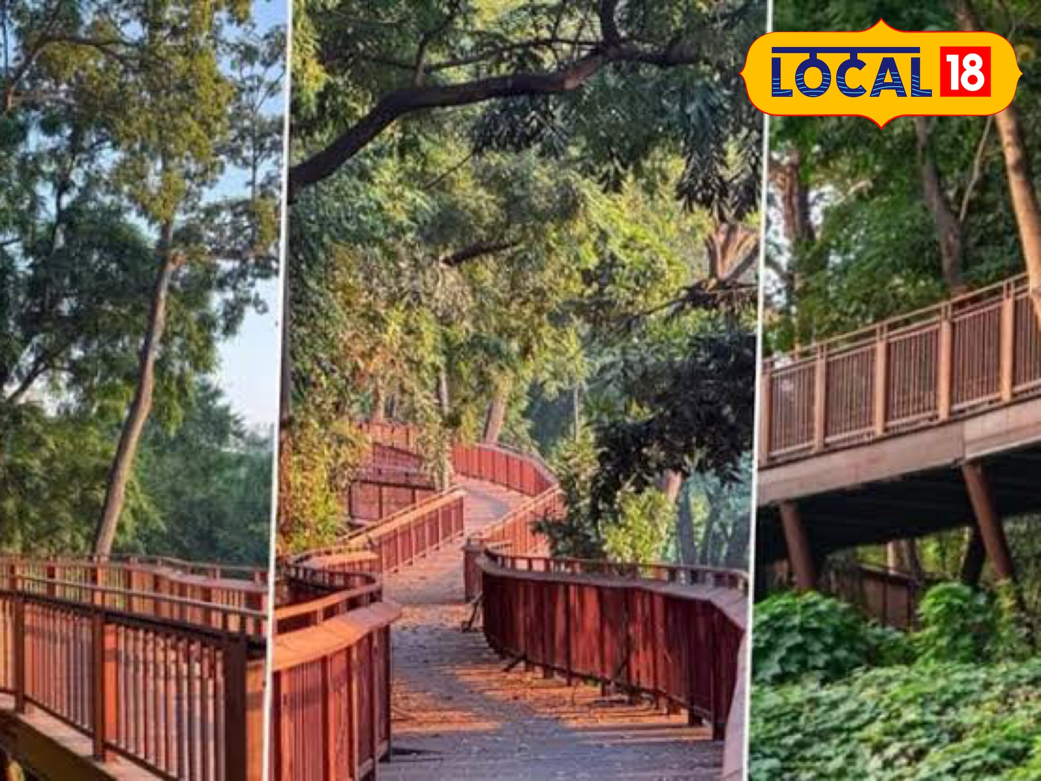 Elevated Nature Trail: मुंबई में मलाबार हिल पर पहली एलिवेटेड नेचर ट्रेल ...