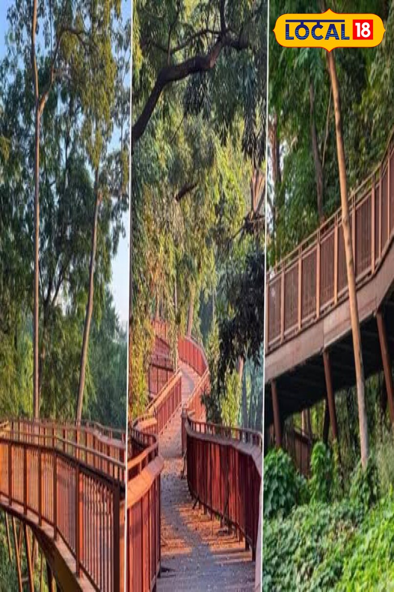 Elevated Nature Trail: मुंबई में मलाबार हिल पर पहली एलिवेटेड नेचर ट्रेल ...