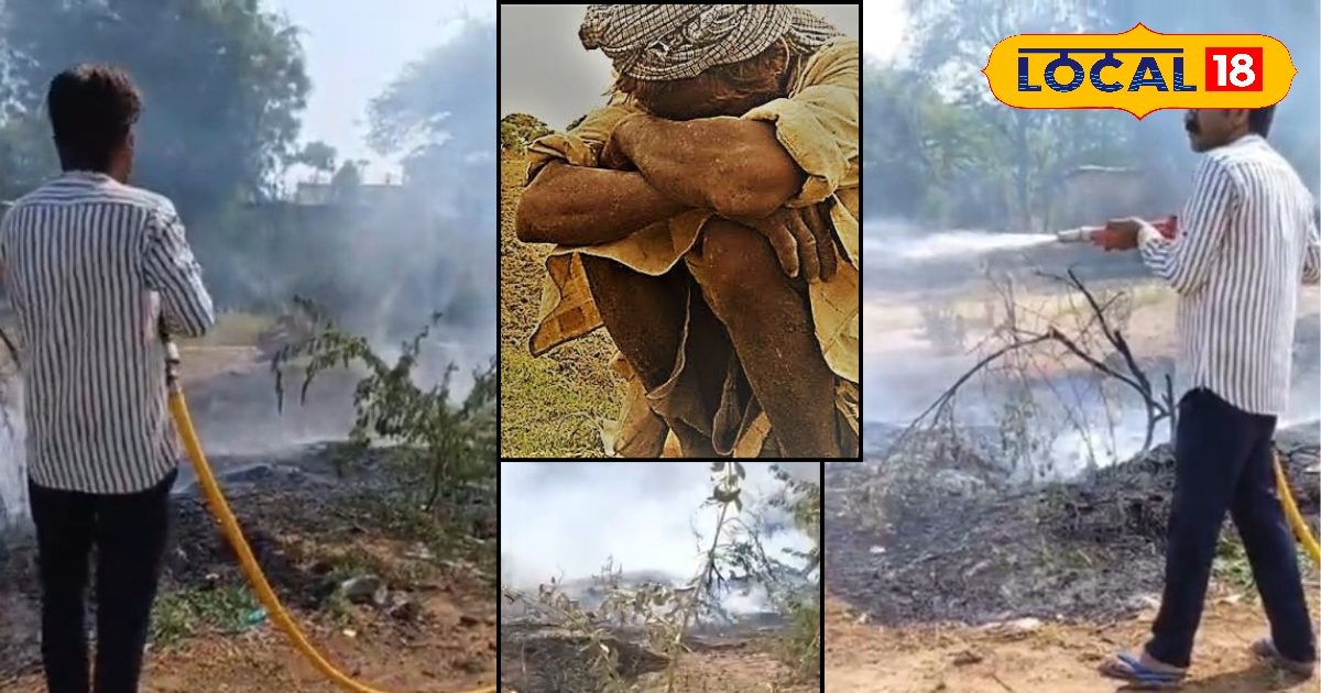 Suddenly fire in farm pali farmer started crying know incident