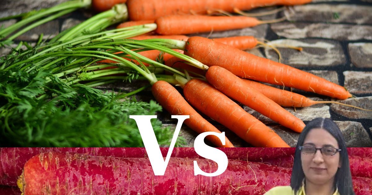 Red Carrot Vs Orange Carrot Which is Better For Health : लाल या ऑरेंज ...
