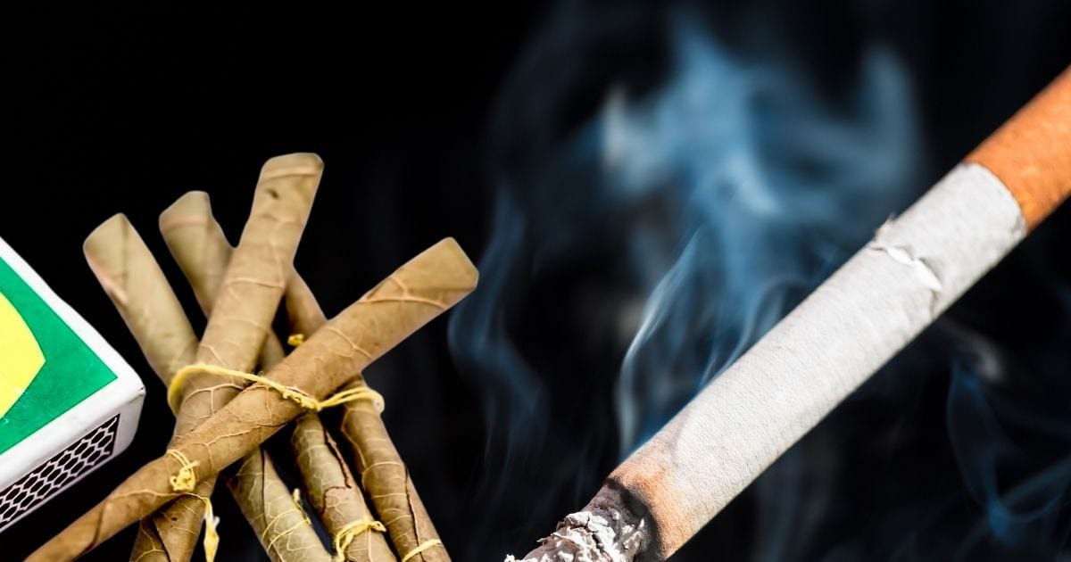 Bidi Vs Cigarette: बीड़ी पीना ज्यादा खतरनाक या सिगरेट? डॉक्टर ने बताई ...