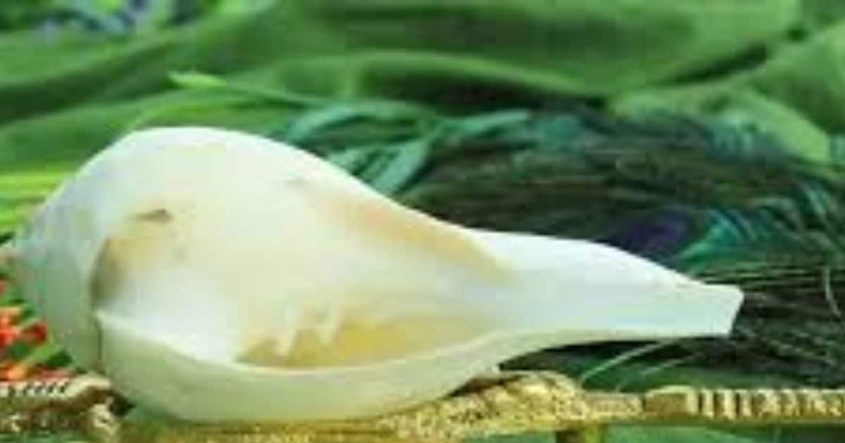 Dakshinavarti Shankh importance and benefits | दक्षिणावर्ती शंख के ...